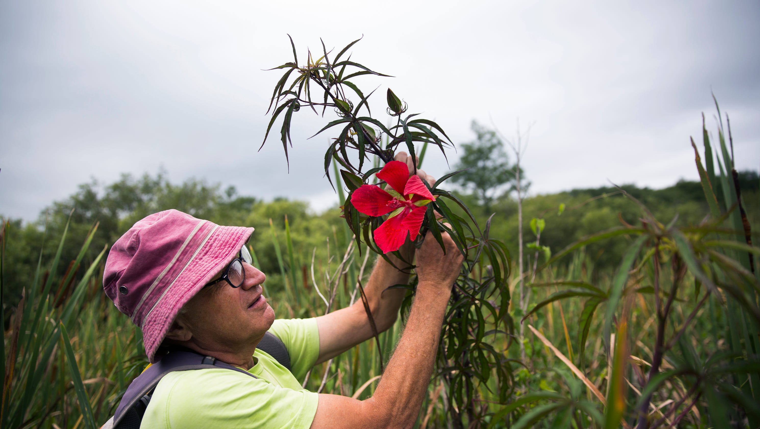 Naples botanist George Wilder finds purpose in plants