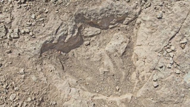 See pre-dinosaur tracks at San Angelo State Park