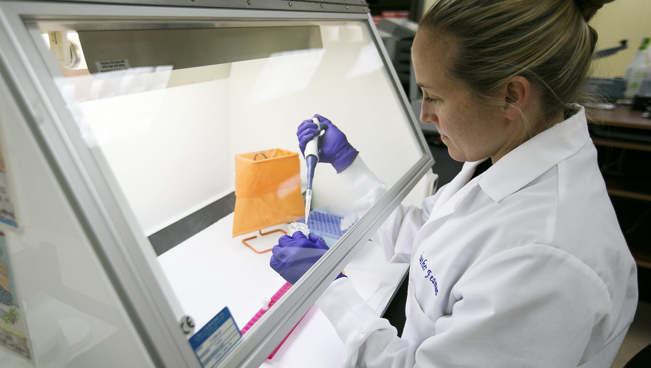 How are rape kits processed?