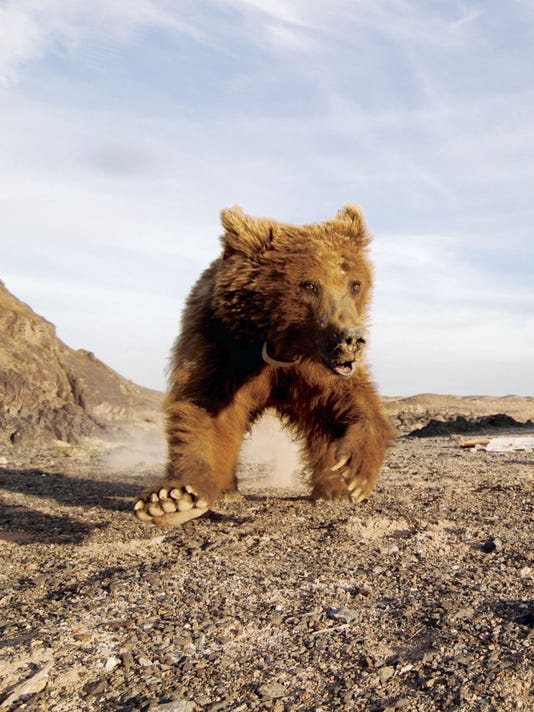 Gobi Grizzlies: Saving the world's rarest bears