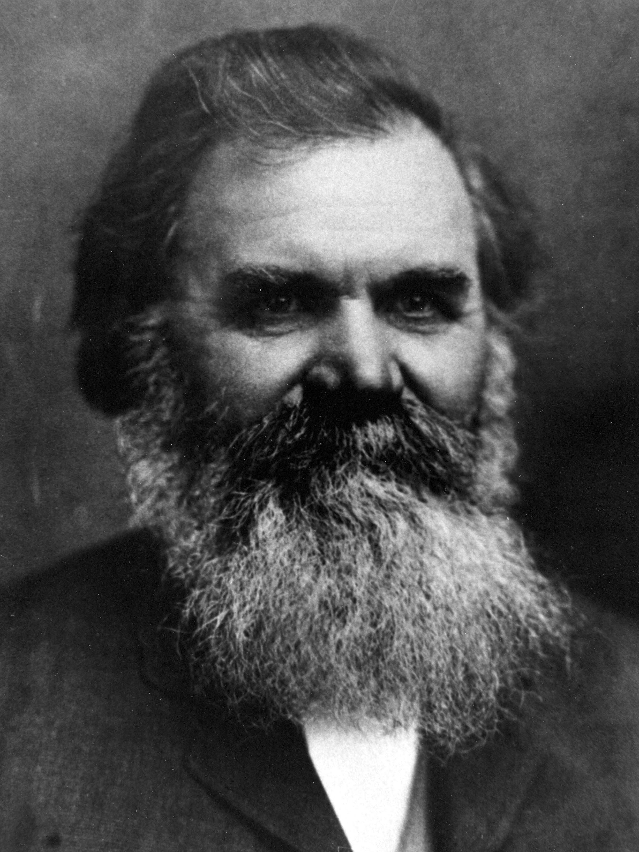 D.D. Palmer founded the profession of chiropractic medicine while ...