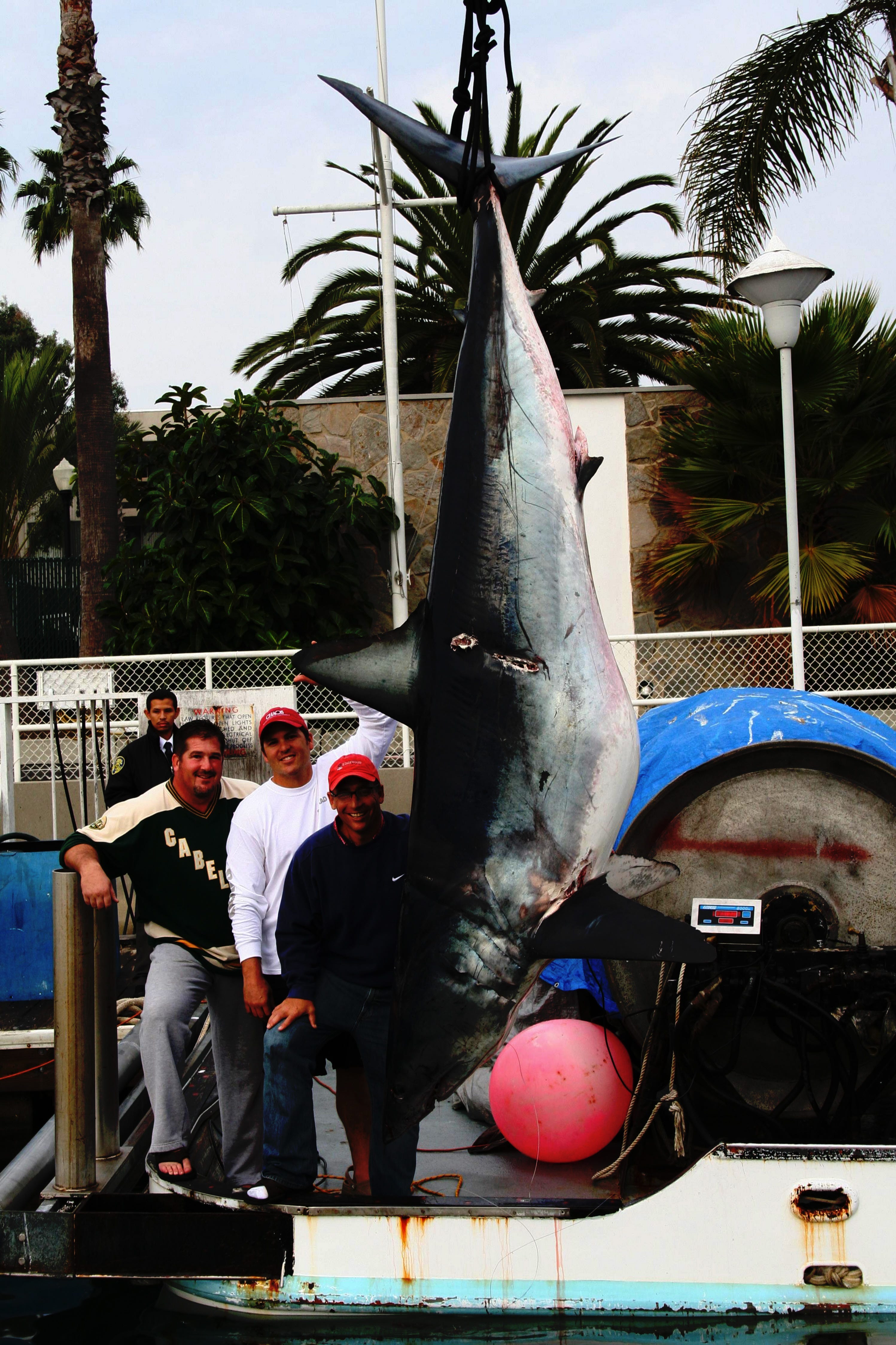 World Record Mako Shark
