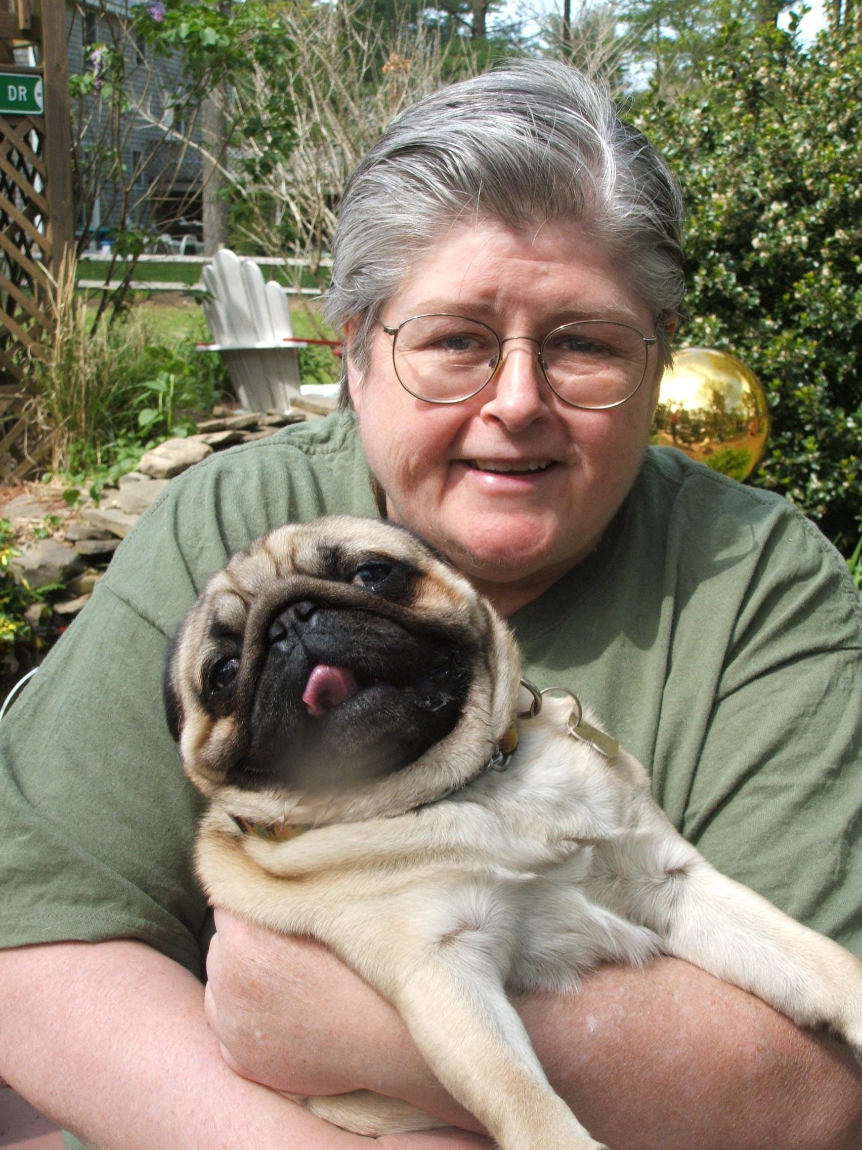 What Do You Call A Group Of Pugs