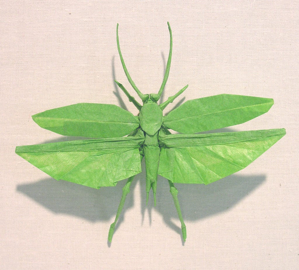 Engineer creates insect origami