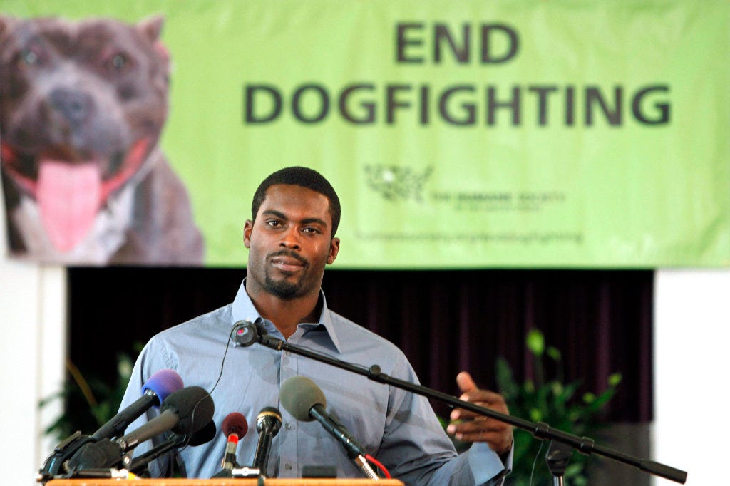 Why Did Michael Vick Do Dog Fighting