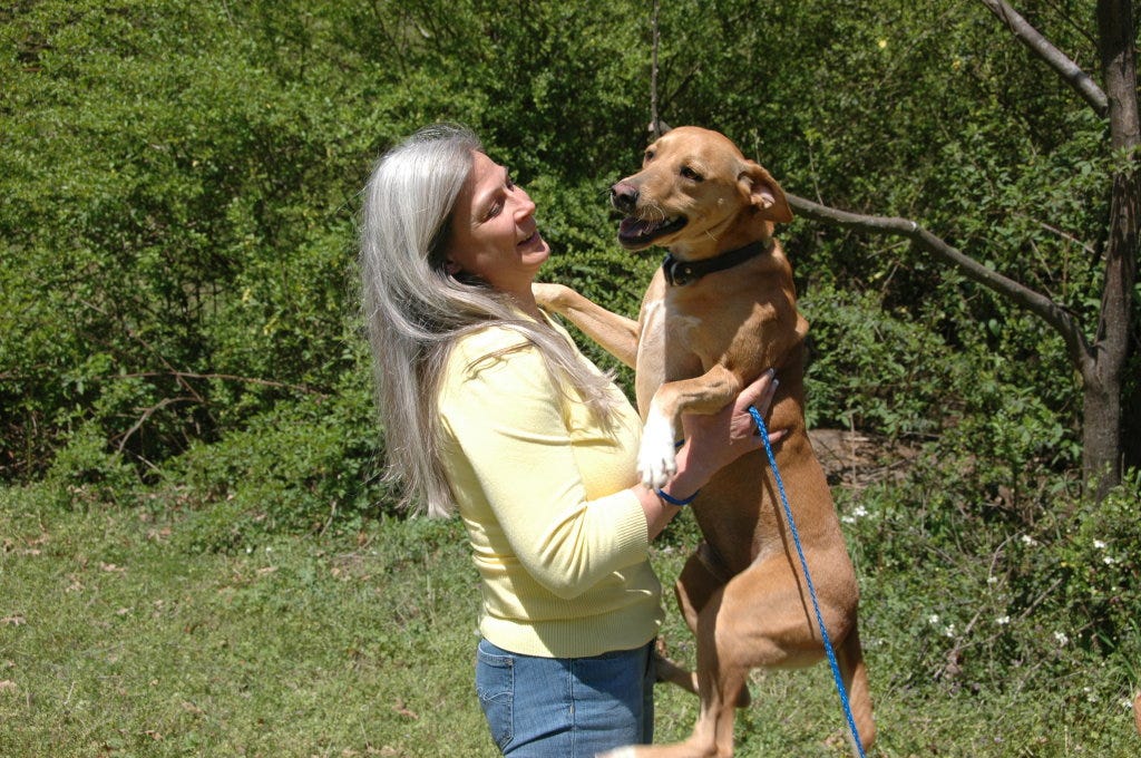 How Many Puppies Can Treeing Cur Give Birth To