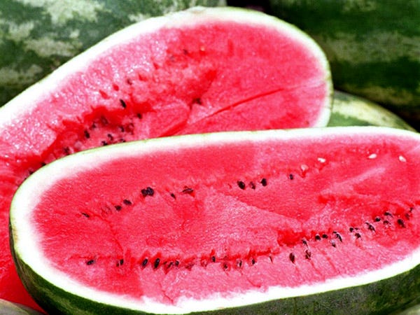 Enjoy ripe, refreshing summer melons at their peak