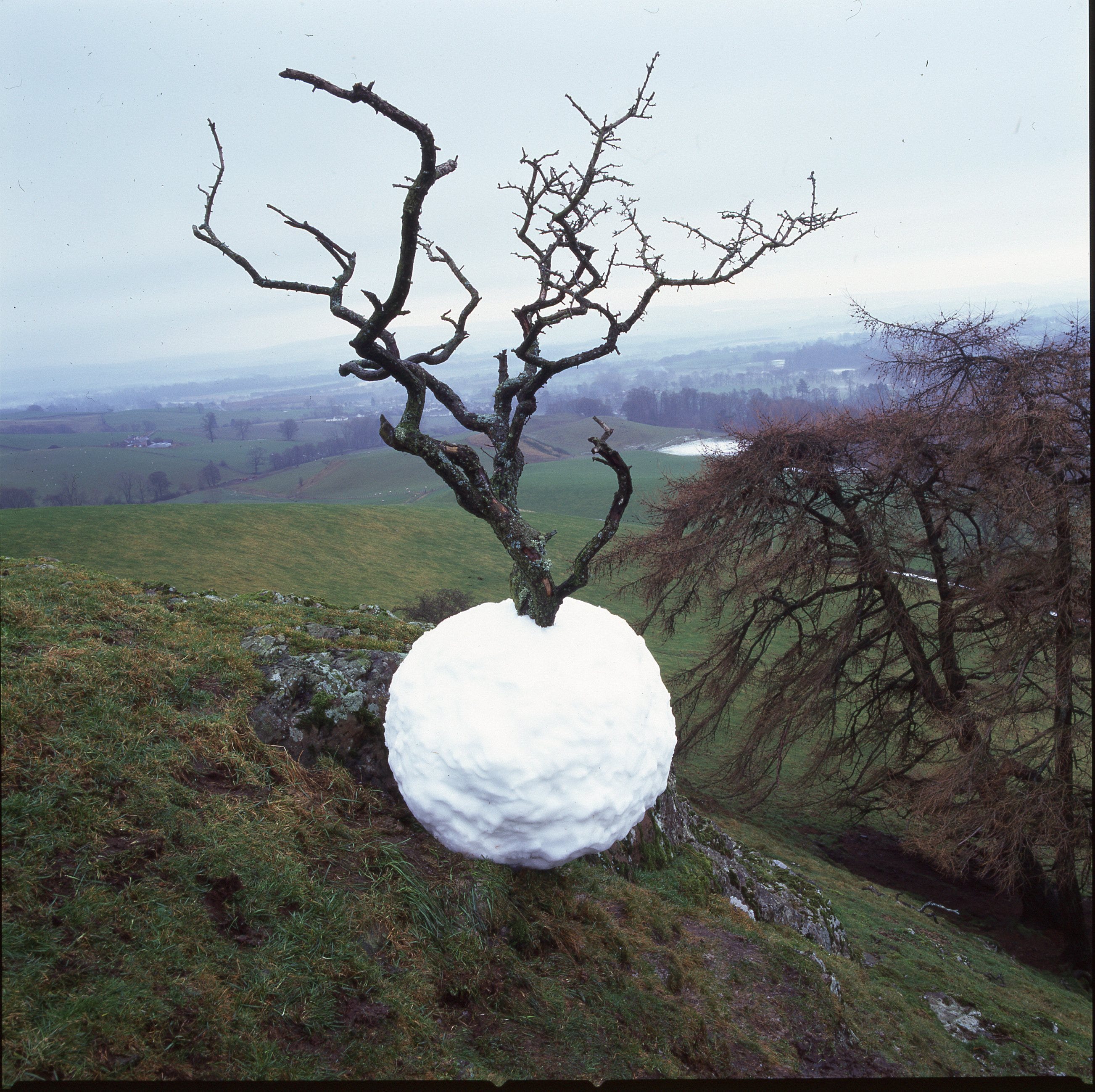 Andy Goldsworthy Art Sculptures