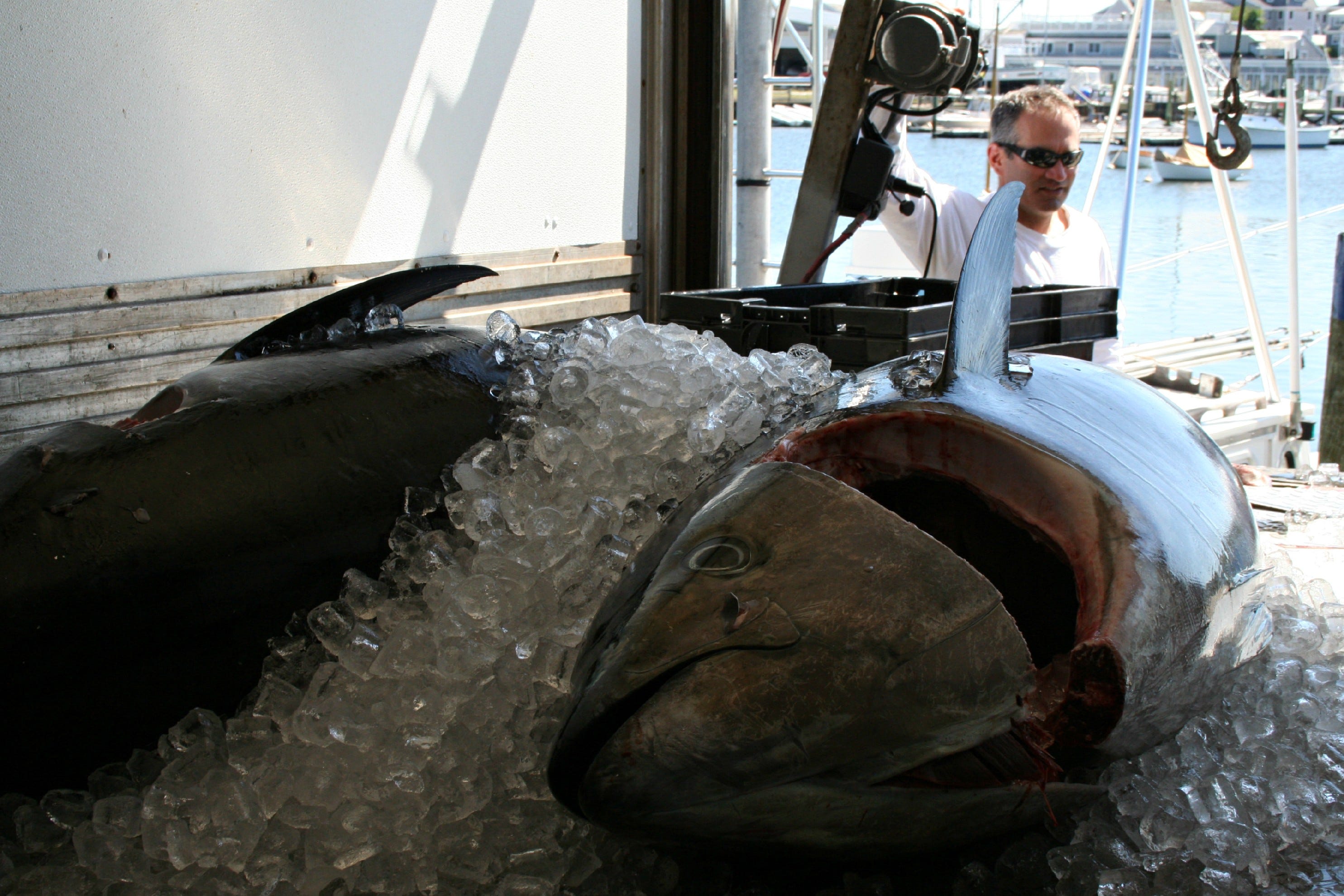 Meet the fisherman: Eric Hesse