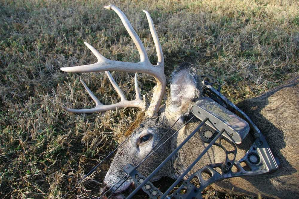 Outdoors: Antler attraction strong in Kansas