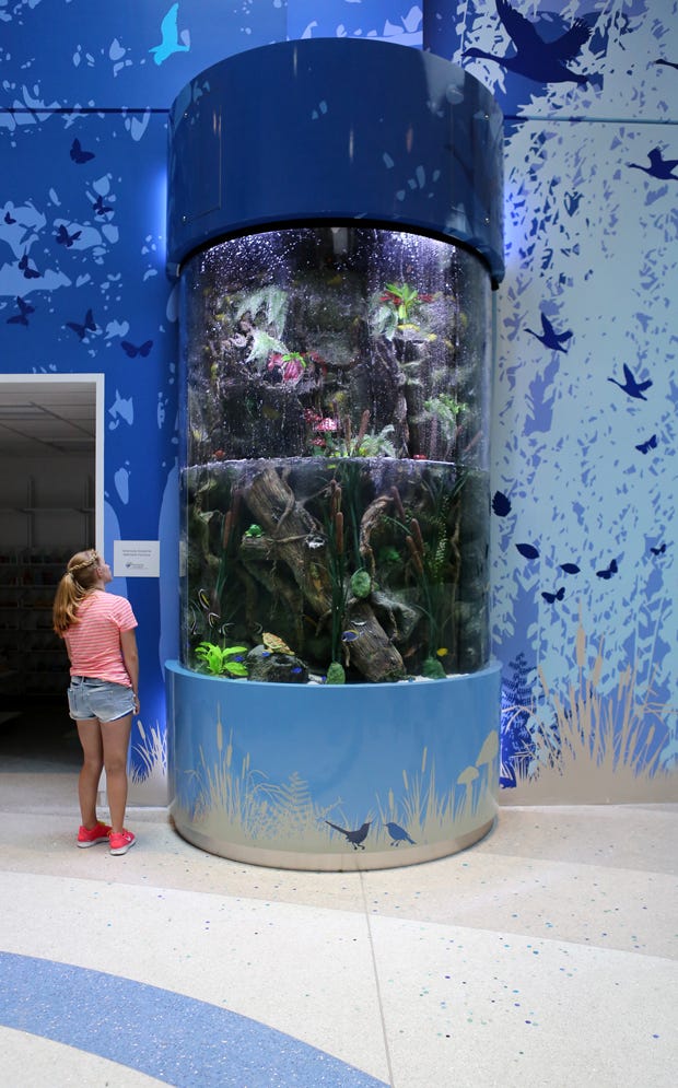 'Tanked' reality show to feature Nationwide Children's aquarium
