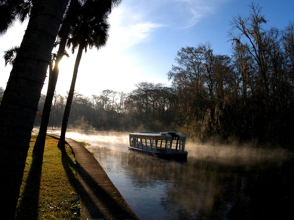 A new golden age for Silver Springs?