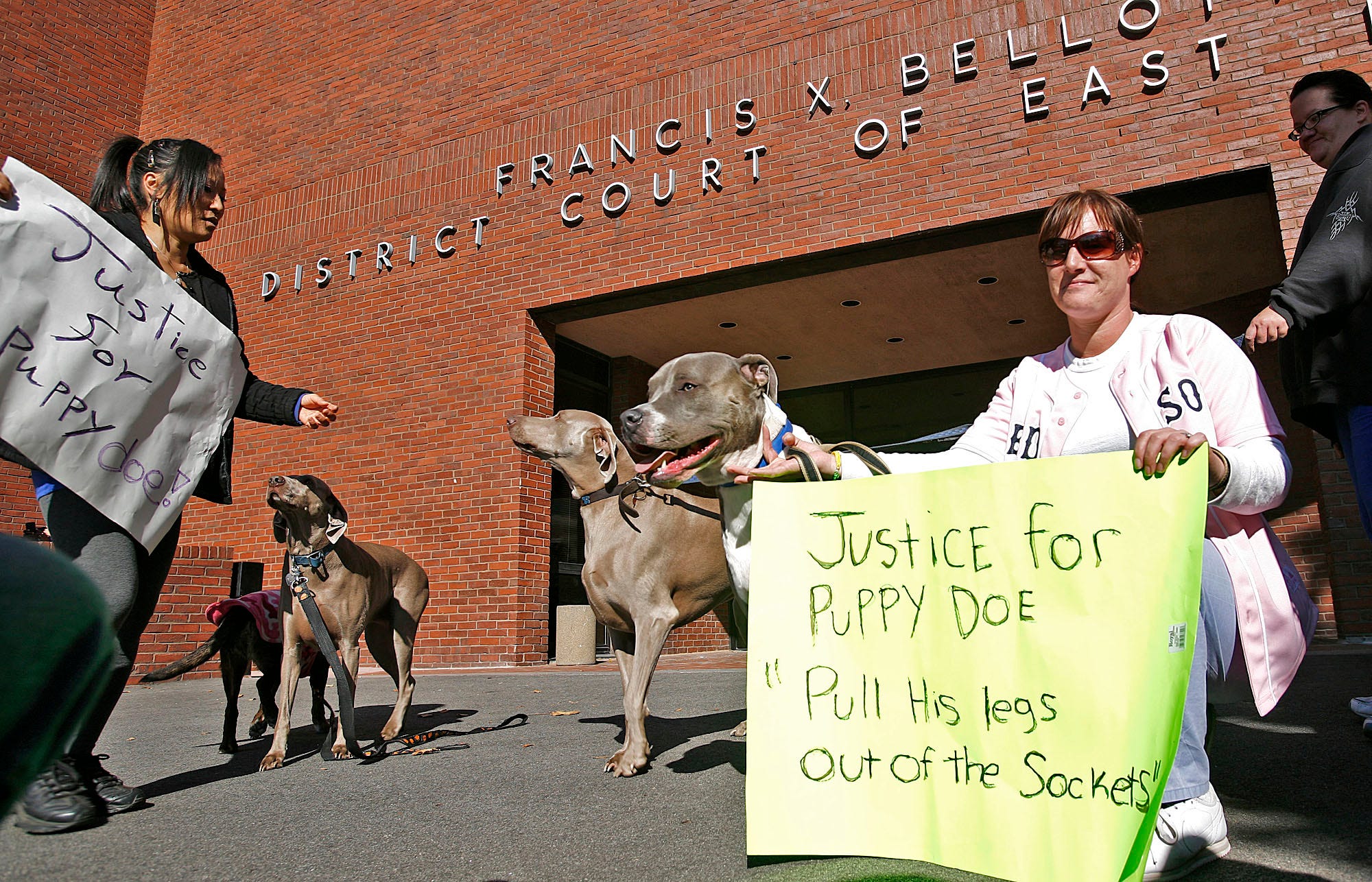 Pet owners upset about Puppy Doe case gather at courthouse