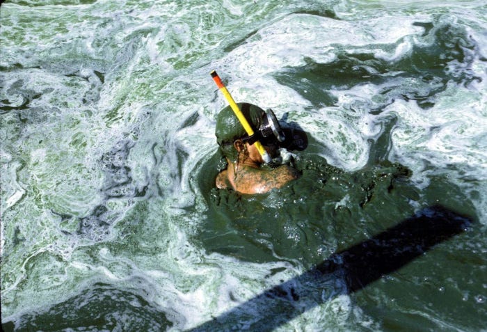 Lake Erie's problems were solved in the '70s