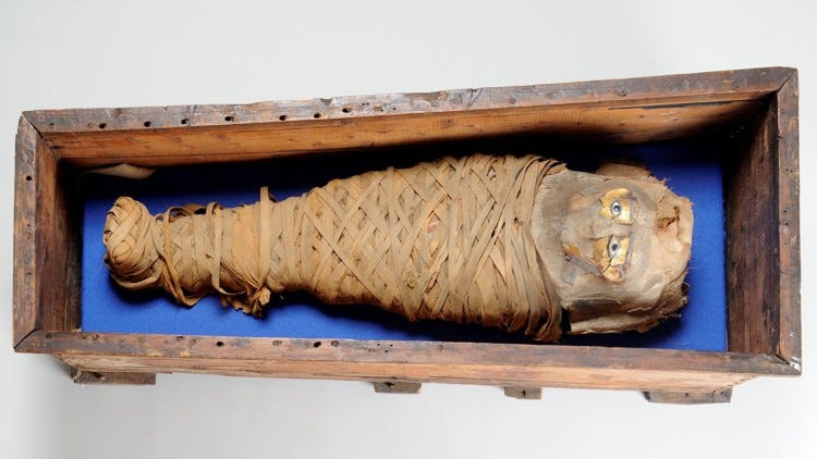 Explore mysteries of mummies over the holidays
