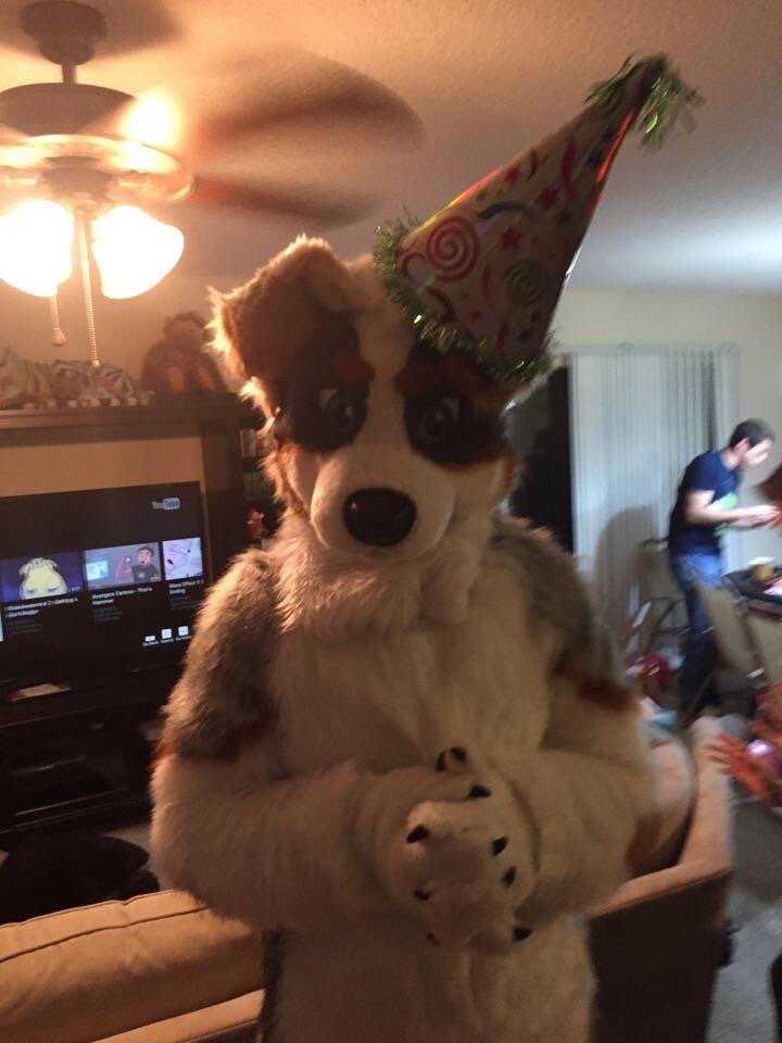 Meet the furries: People who identify with an animal so much they dress ...