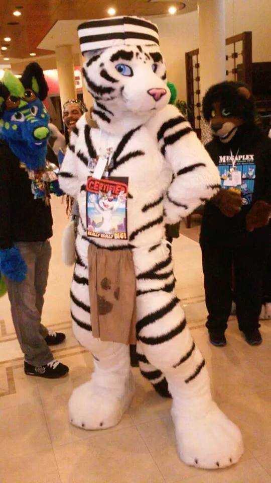 Meet the furries: People who identify with an animal so much they dress ...