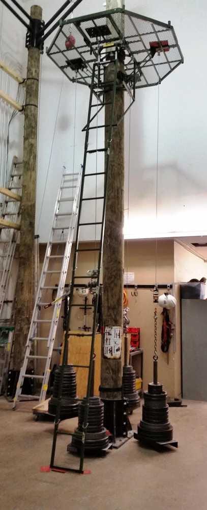 Gorilla Climbing Tree Stands