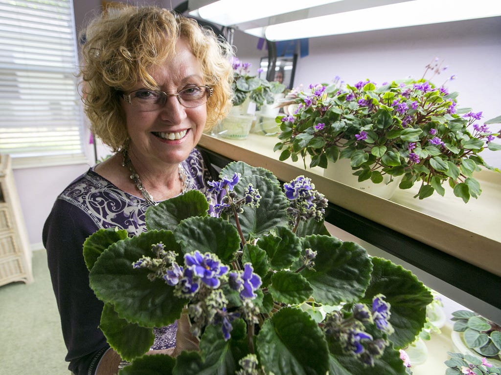 Nine tips for growing African violets