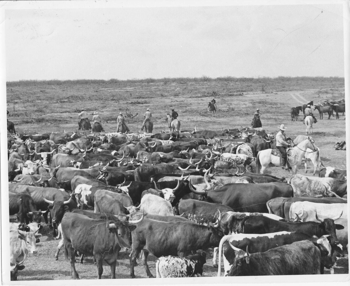 Chronicles: Cattle Kingdom flourished on the Llano Estacado
