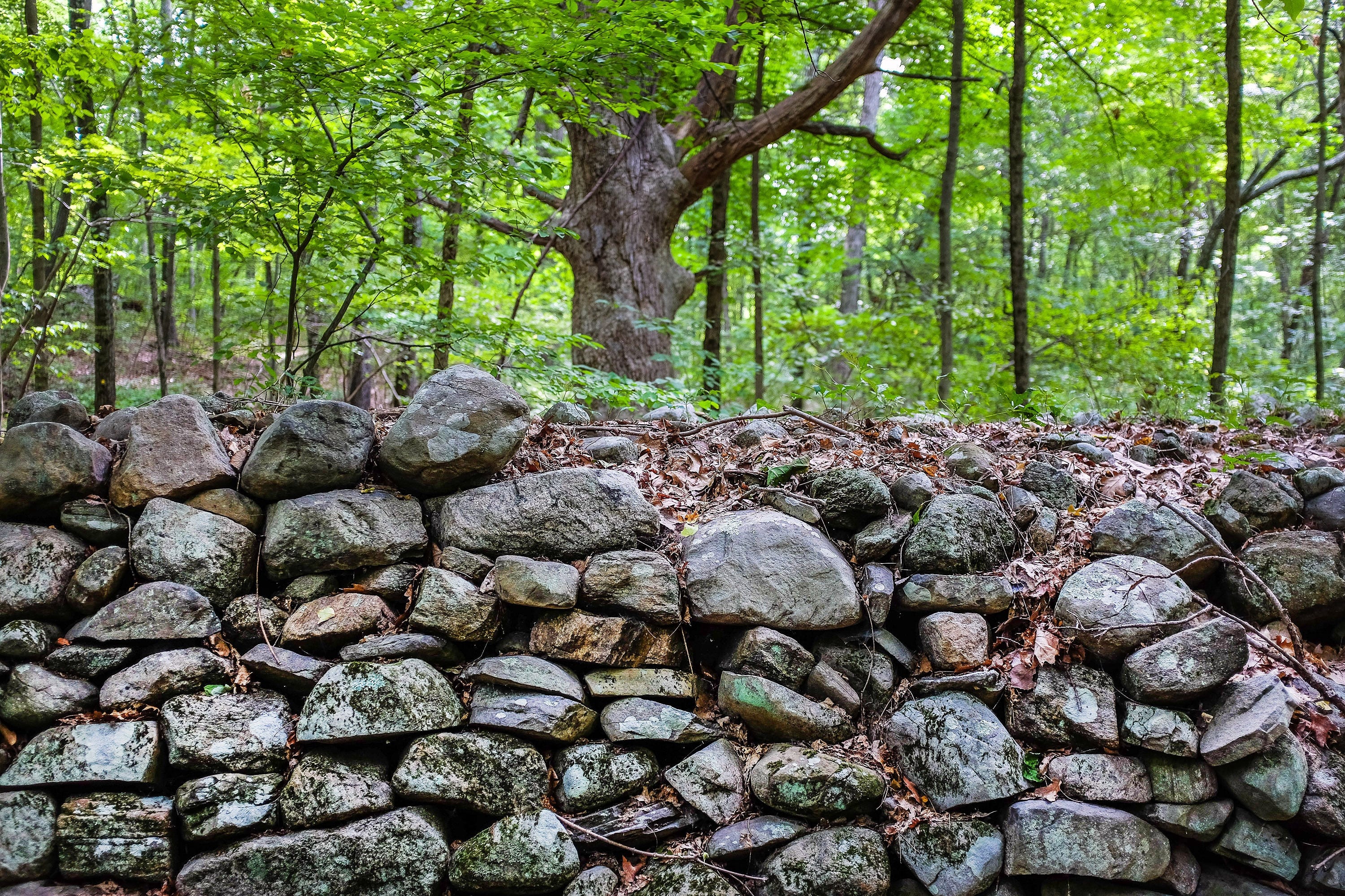 Indian Hill's mysterious stone walls