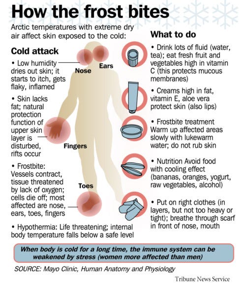 Frostbite Lips | Lipstutorial.org