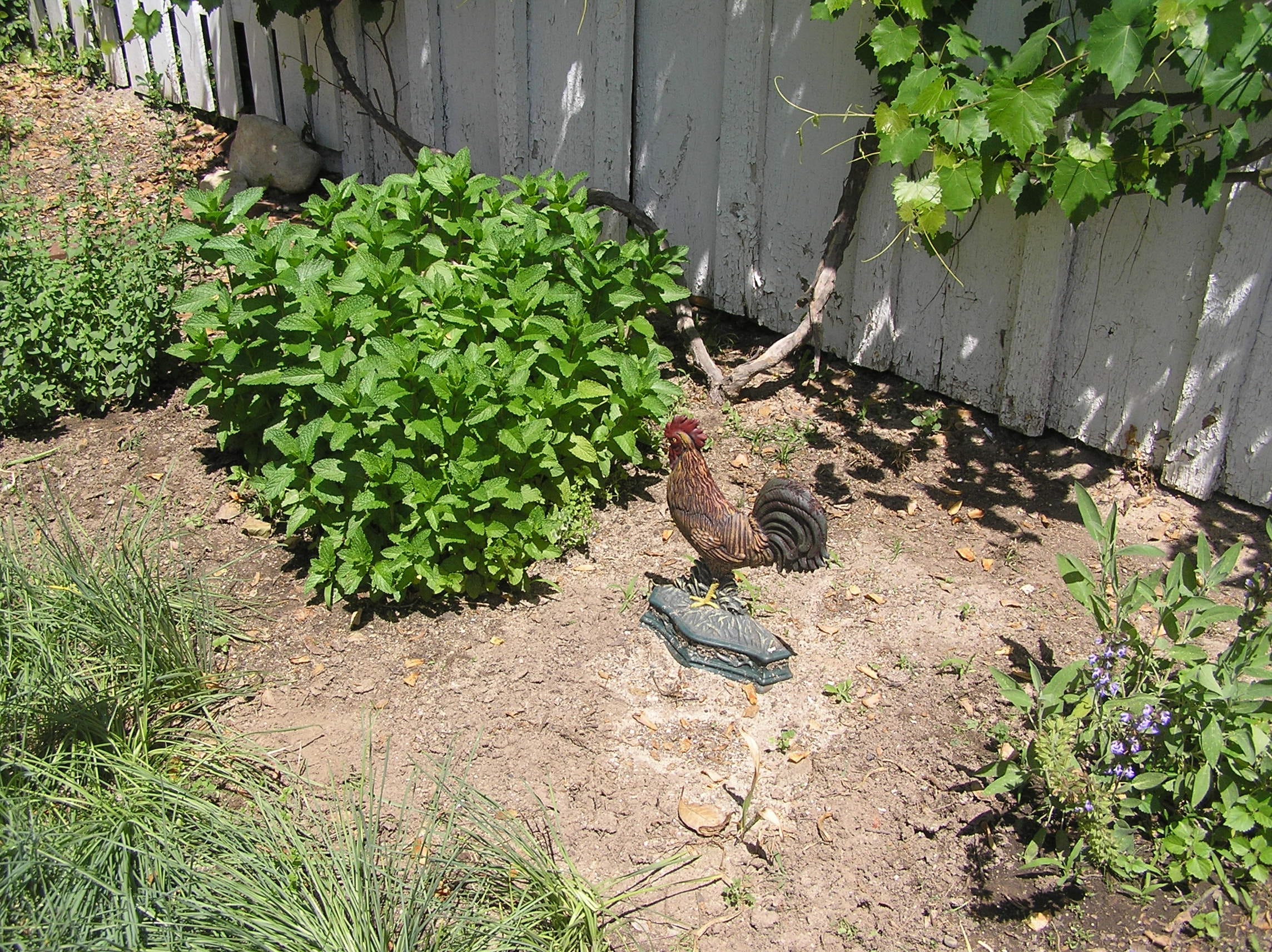 Life's study leads to biblical garden