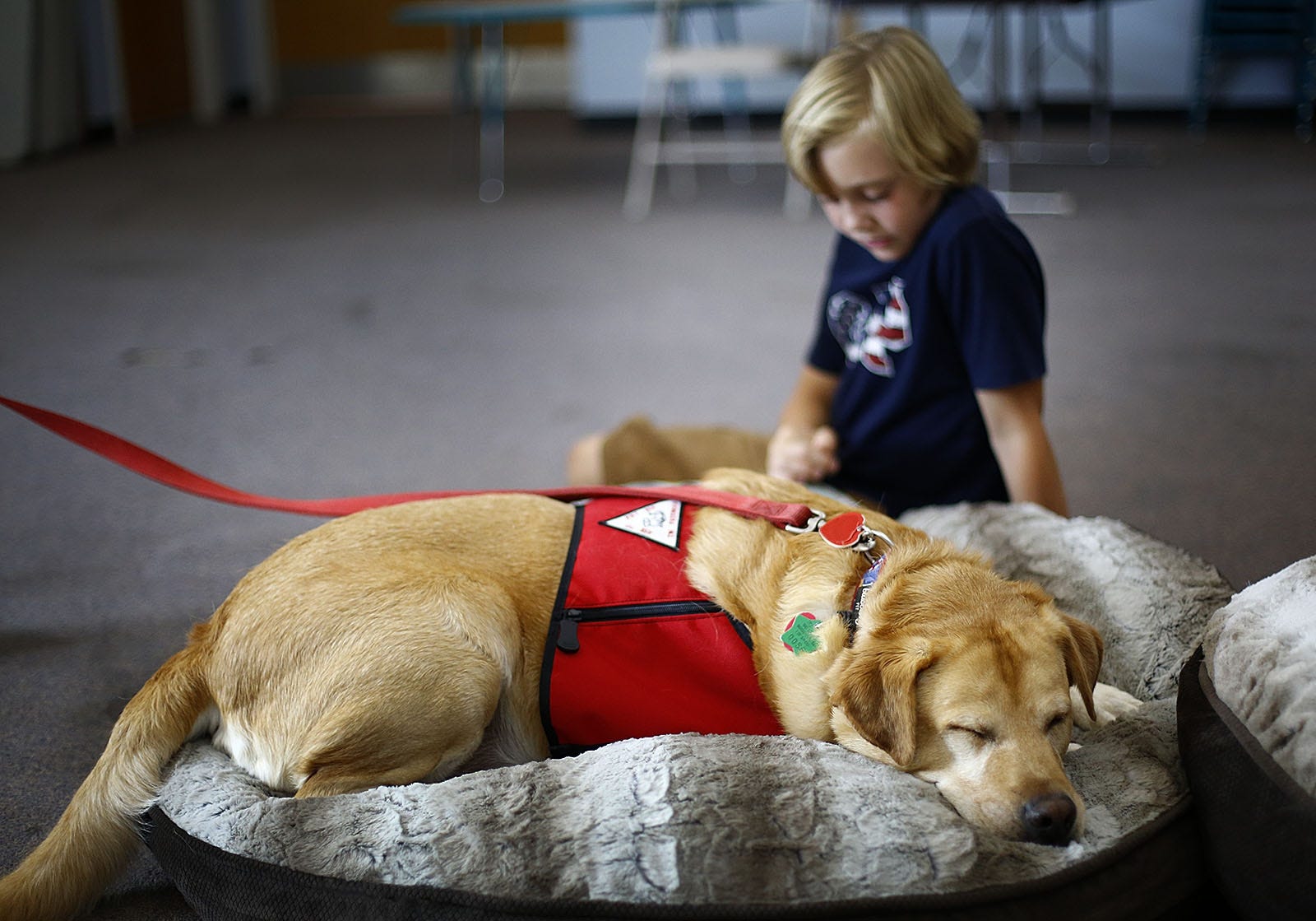 Library encourages reading through therapy dog program