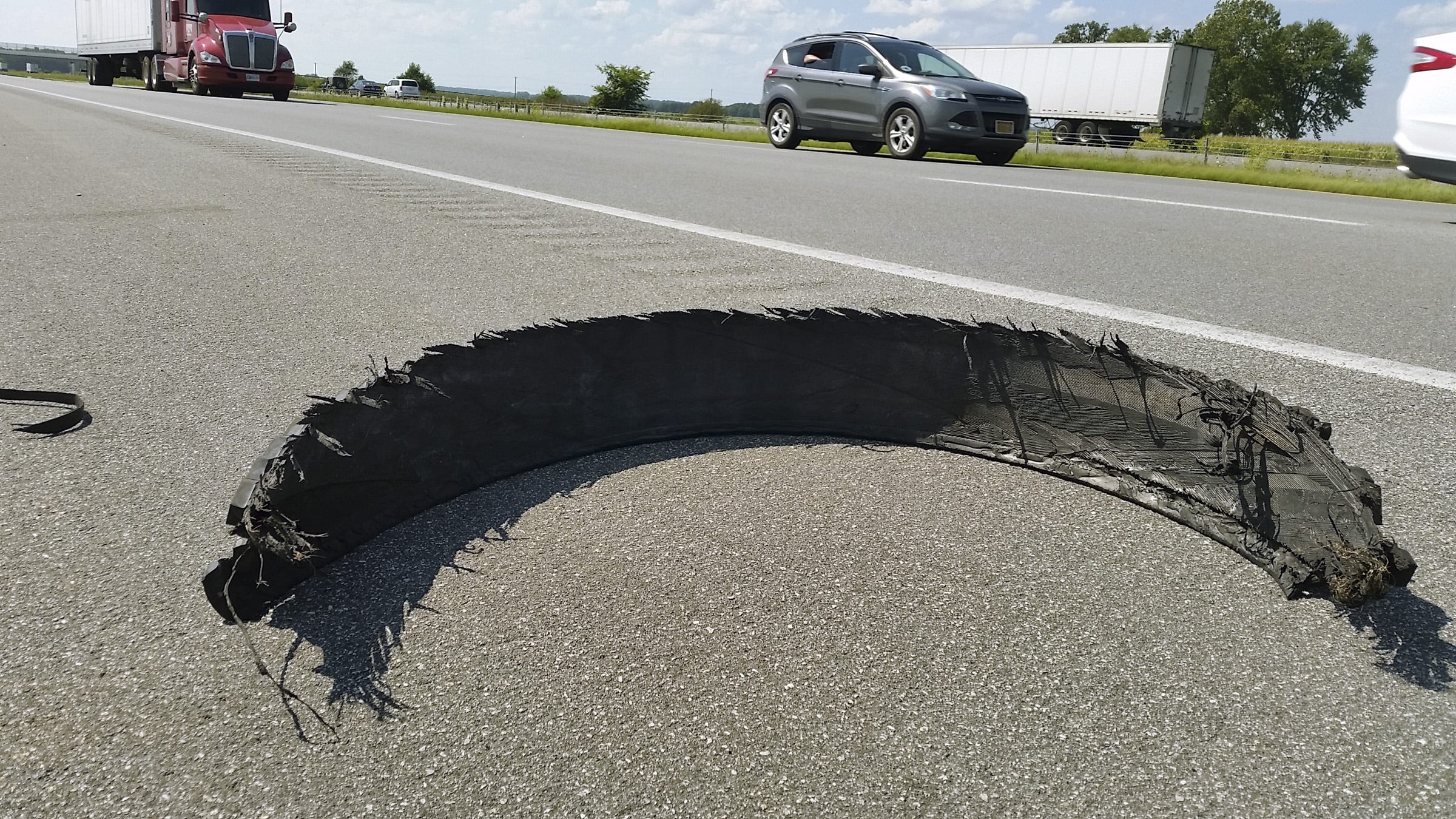 'Road gator' can bite cars on highway