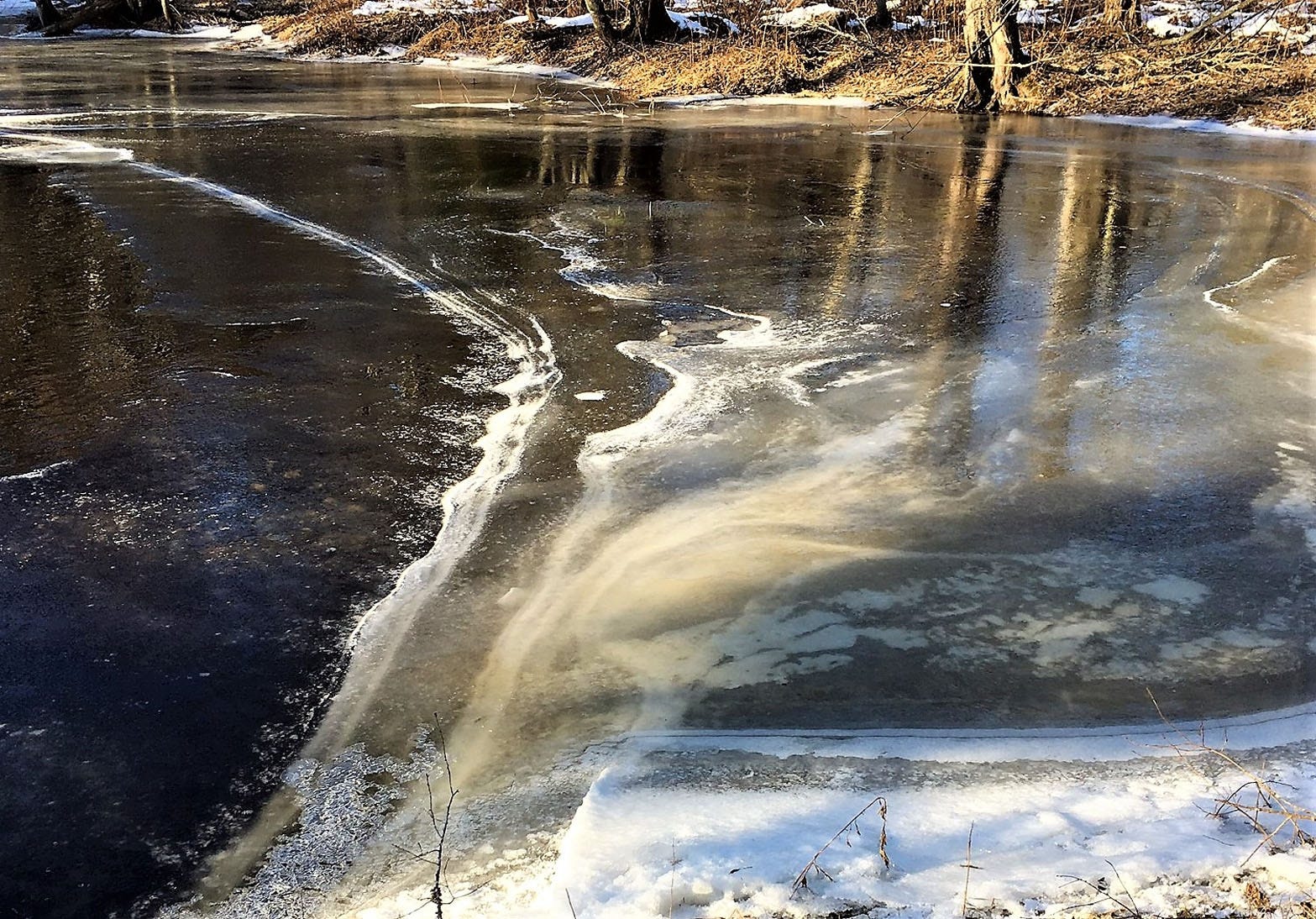 Why water freezes from top down instead of bottom up