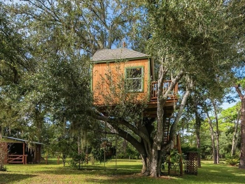 Treehouse for sale with 5 acres, a stable and a house on the ground