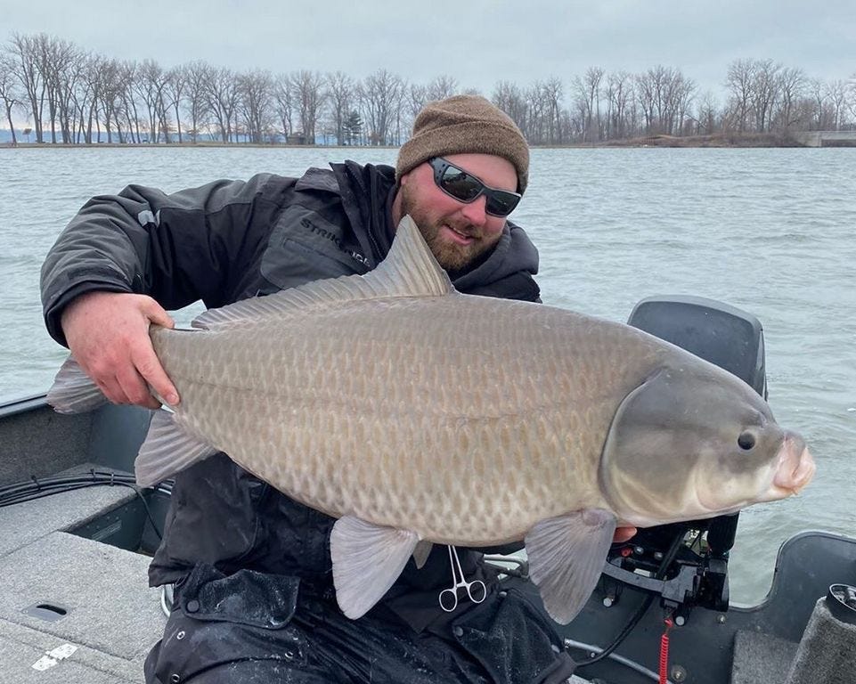 40-pound endangered fish caught in Presque Isle Bay