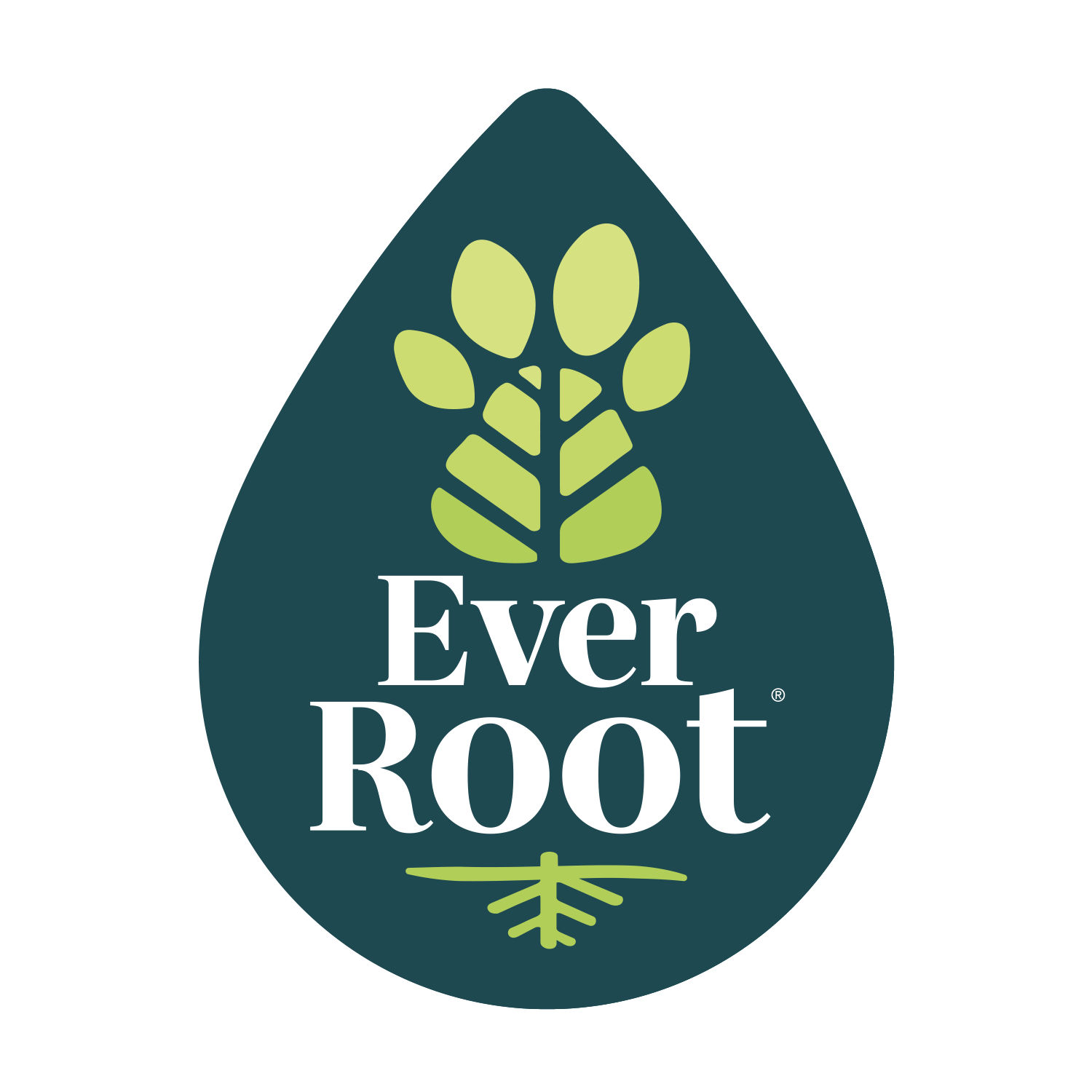 Supplements aren’t just for humans — they can help dogs, too