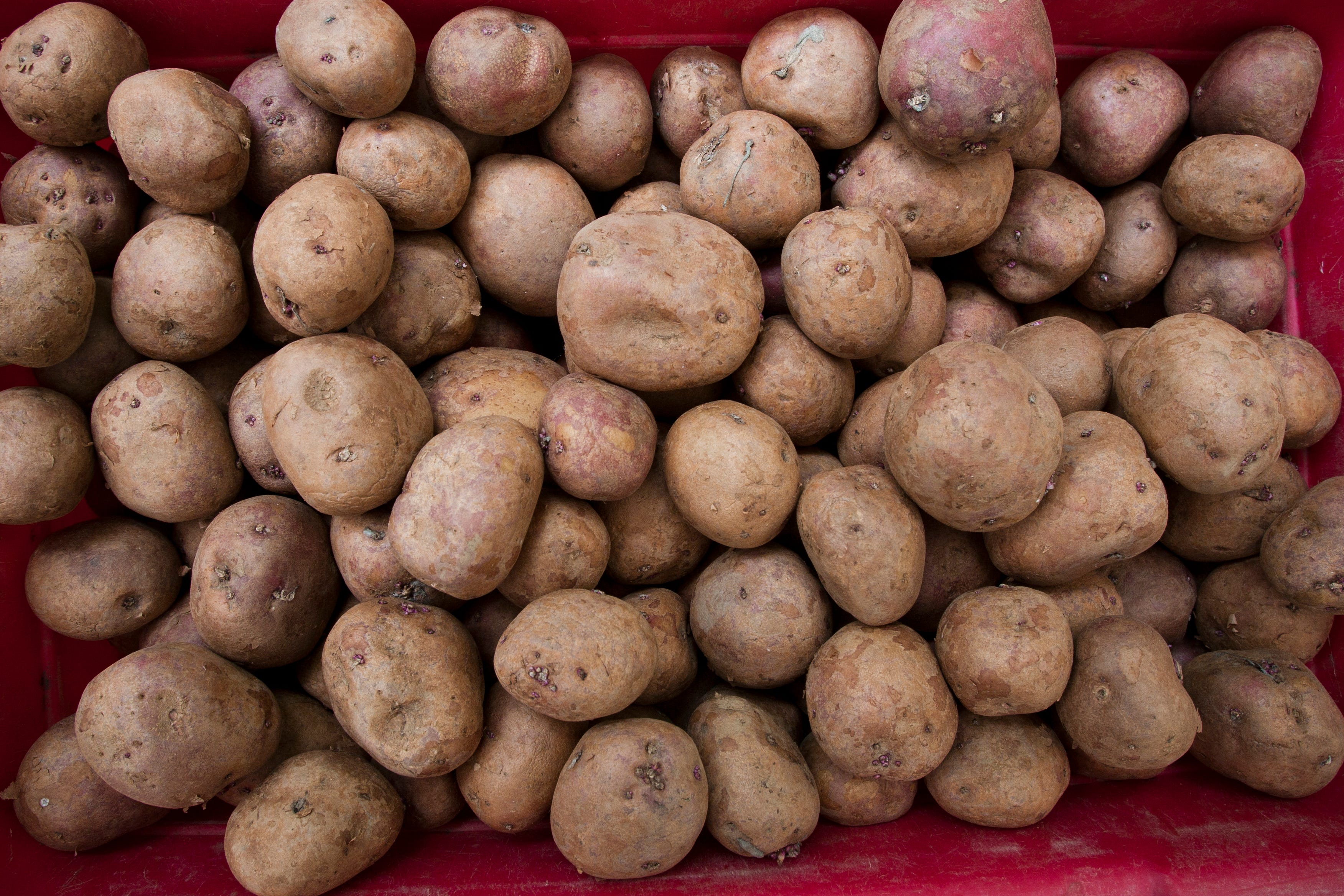 Are potatoes good for you? An expert weighs in on the healthiest kind