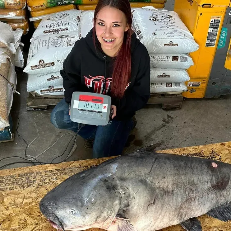 Ohio River Catfish Record