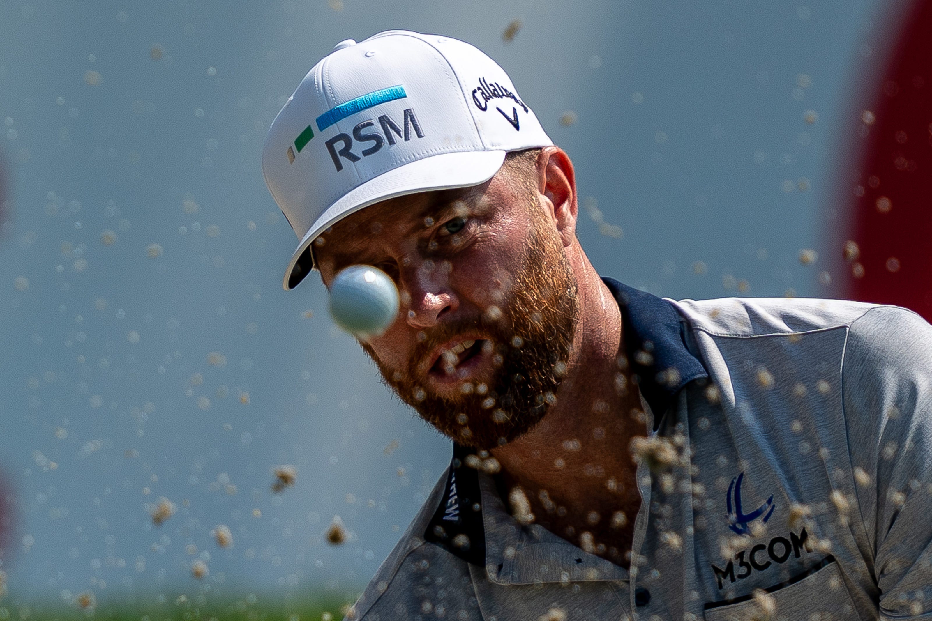 2025 Barracuda Championship Leaderboard - PGA Tour - USA TODAY