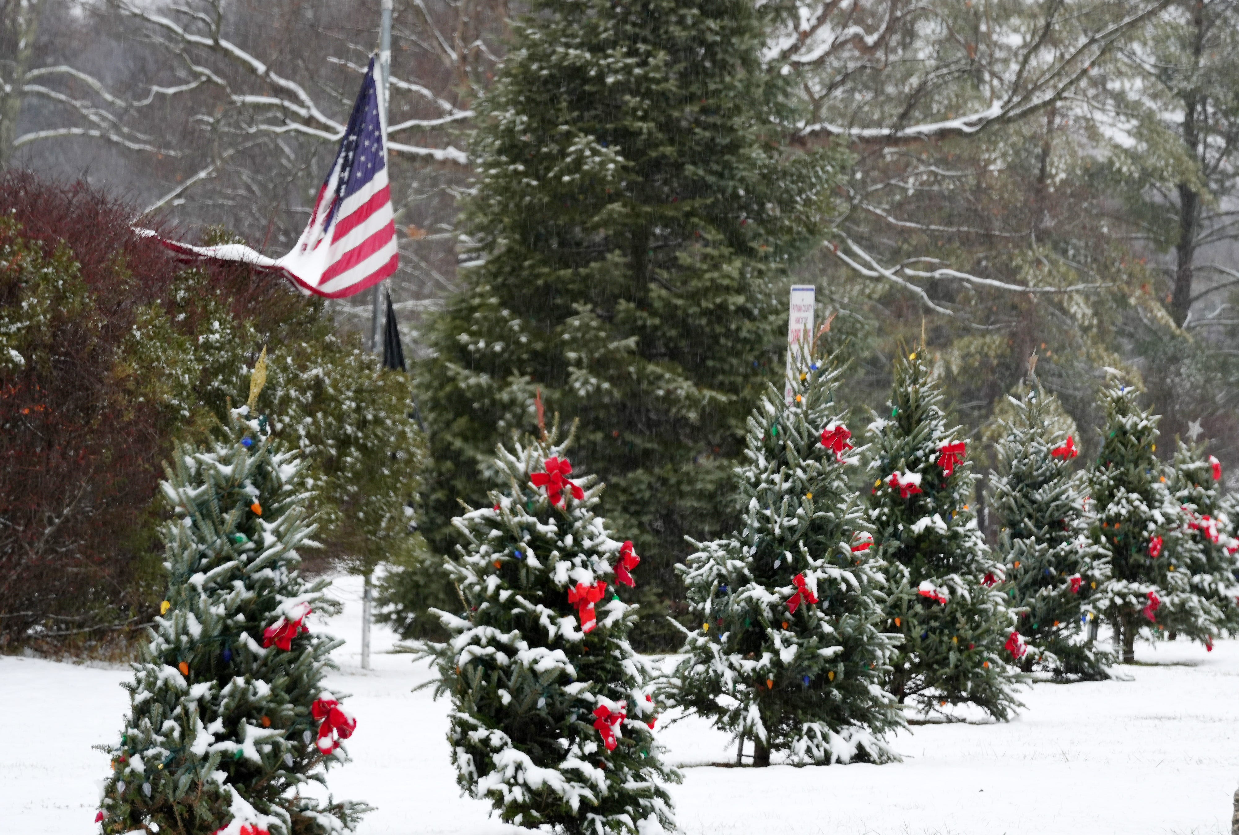 Intel Xeon Diamond Rapids: 16-Channel Memory Focus – Archyde