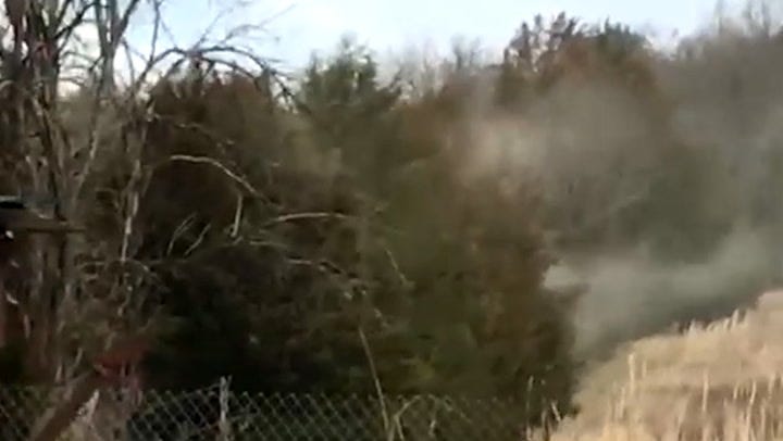 Allergy season: See pollen rise from Tennessee hillside