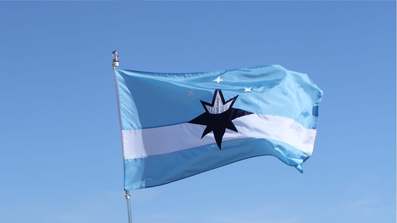 What does Springfield's new official flag represent?