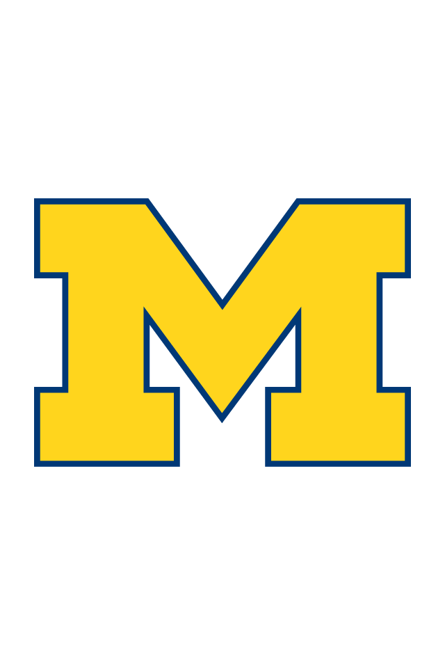 Michigan Revenue and Finances - USA TODAY