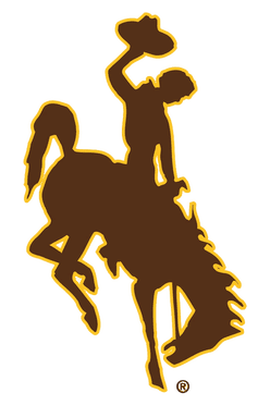 Wyoming Cowboys News, Schedule, Stats and Roster - USA TODAY Sports