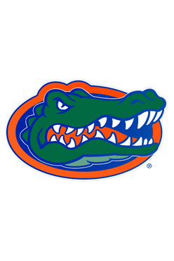 Florida Gators 2025 Depth Chart - USA TODAY Sports