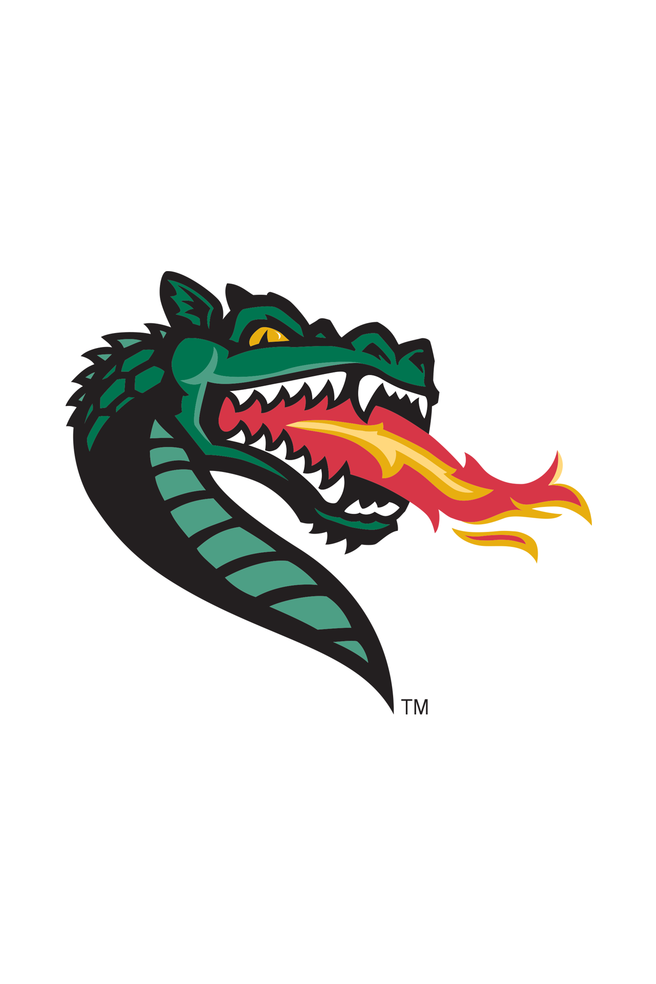 UAB Football Head Coaches' Salaries - USA TODAY