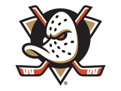 Anaheim Ducks 2025 Depth Chart - USA TODAY Sports