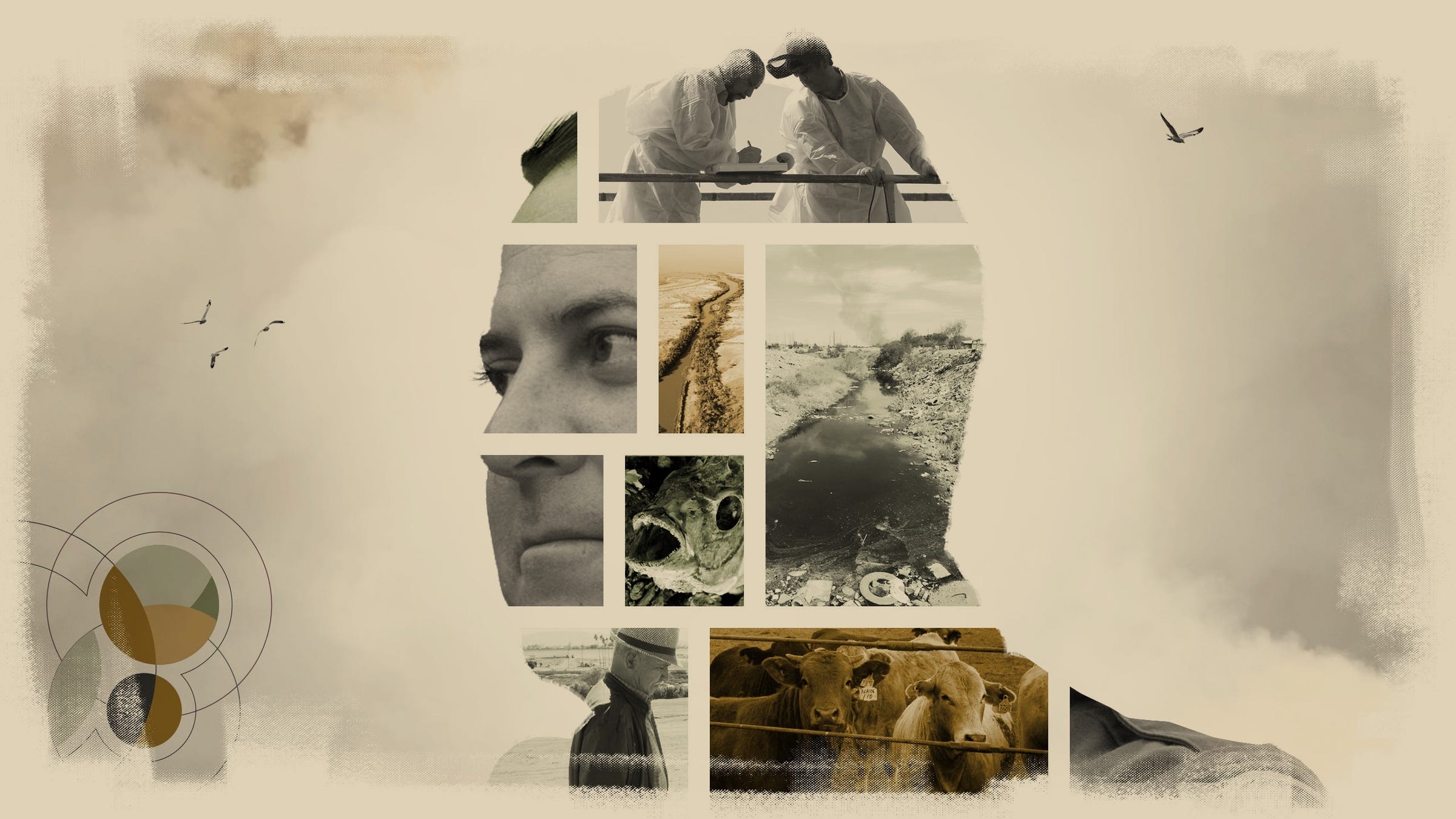 The polluted New River poses a hazard on U.S.-Mexico border