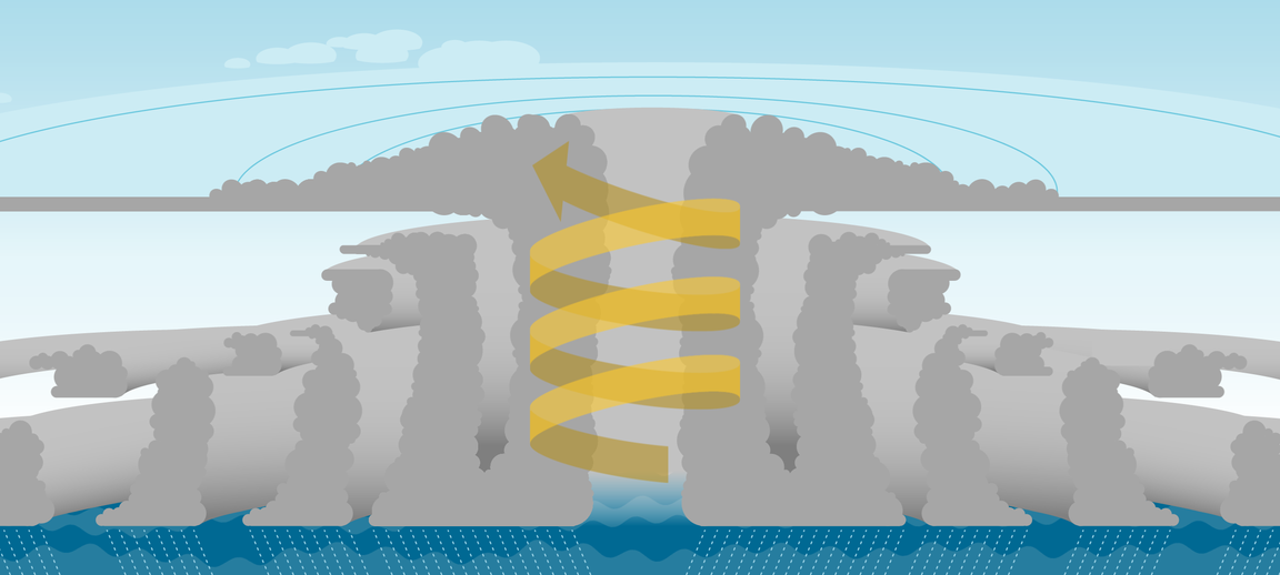 How do hurricanes form? A look at how it happens from the inside.