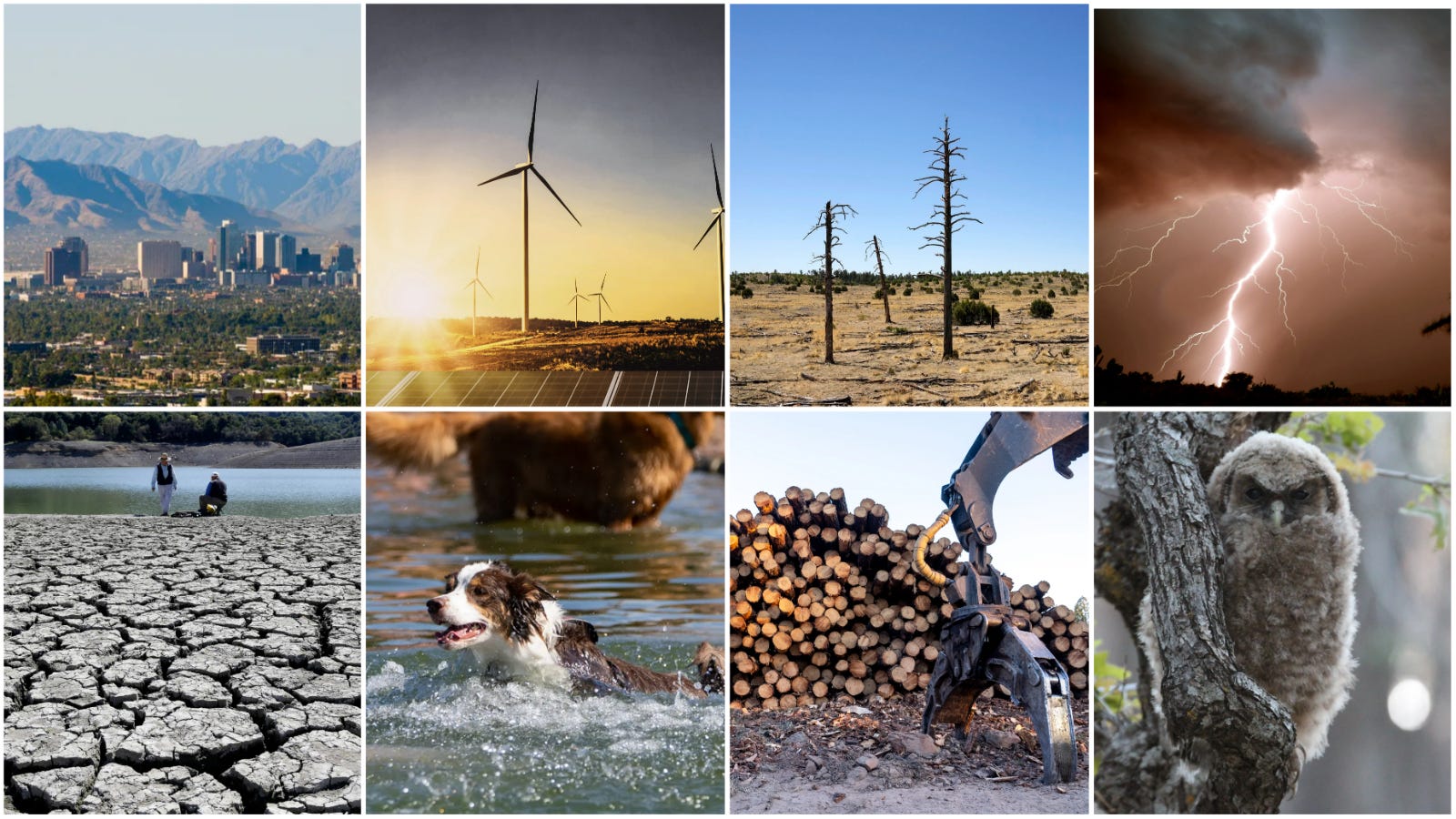 Phoenix and climate change: Follow The Arizona Republic's Joan Meiners