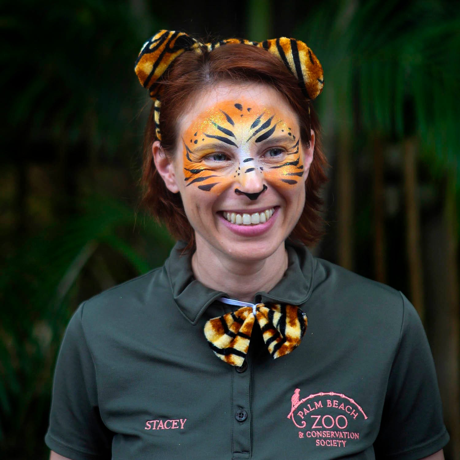 'Tiger whisperer' mauled to death in tiger's sleeping area at Palm ...