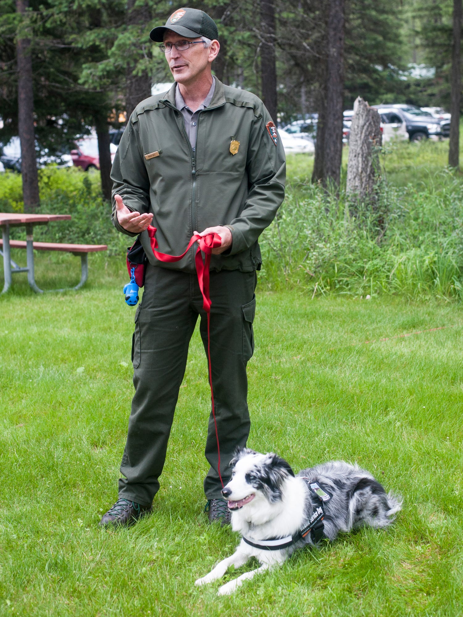 Bark ranger reporting for duty in Glacier