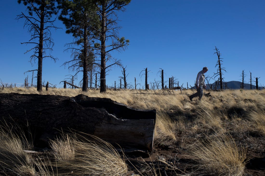 Arizona wildfires: Restoring Flagstaff forest health to prevent floods